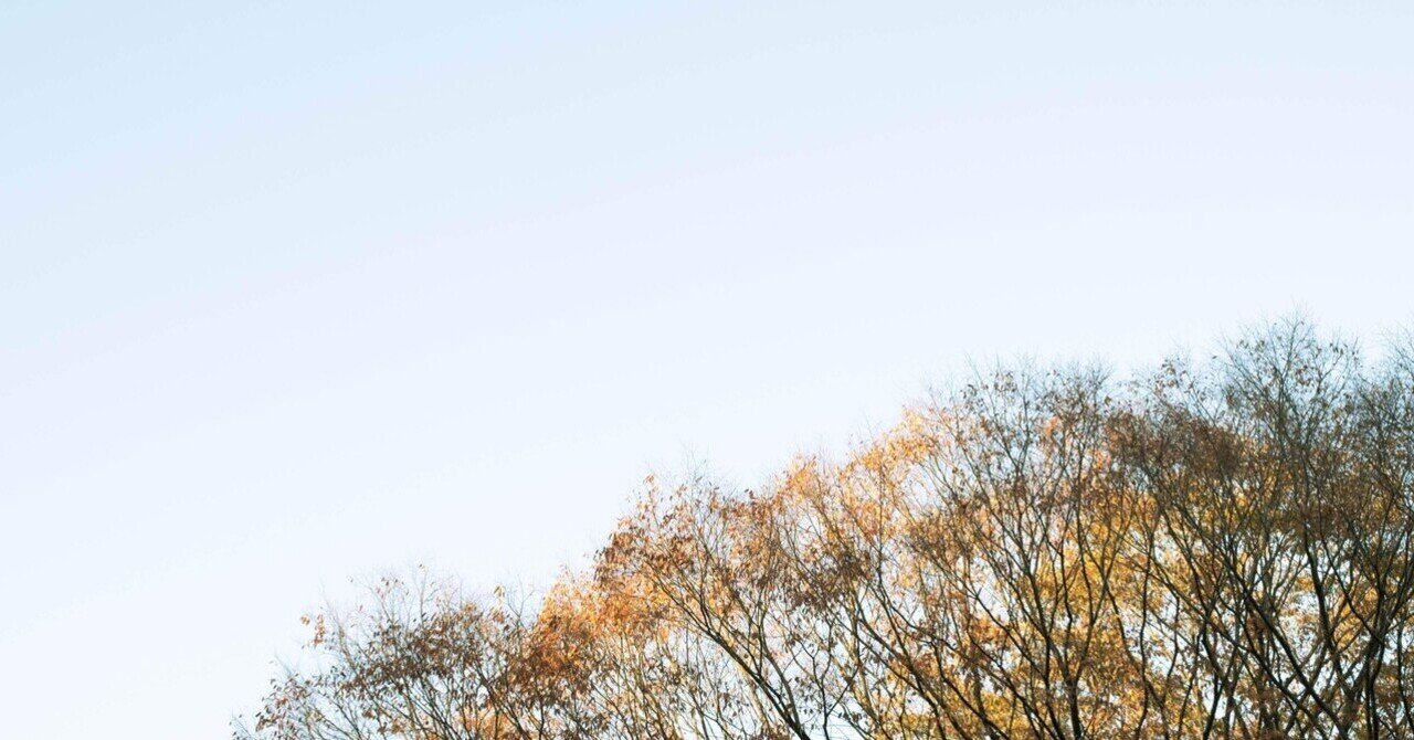 12月、行動指針をつくりたい｜junko・studio tail