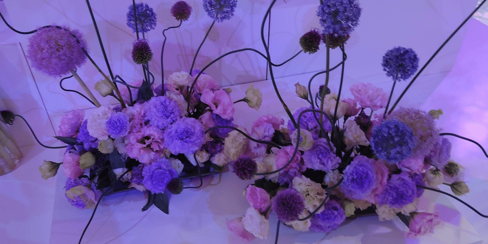 ＊凪紗＊HSP｜note