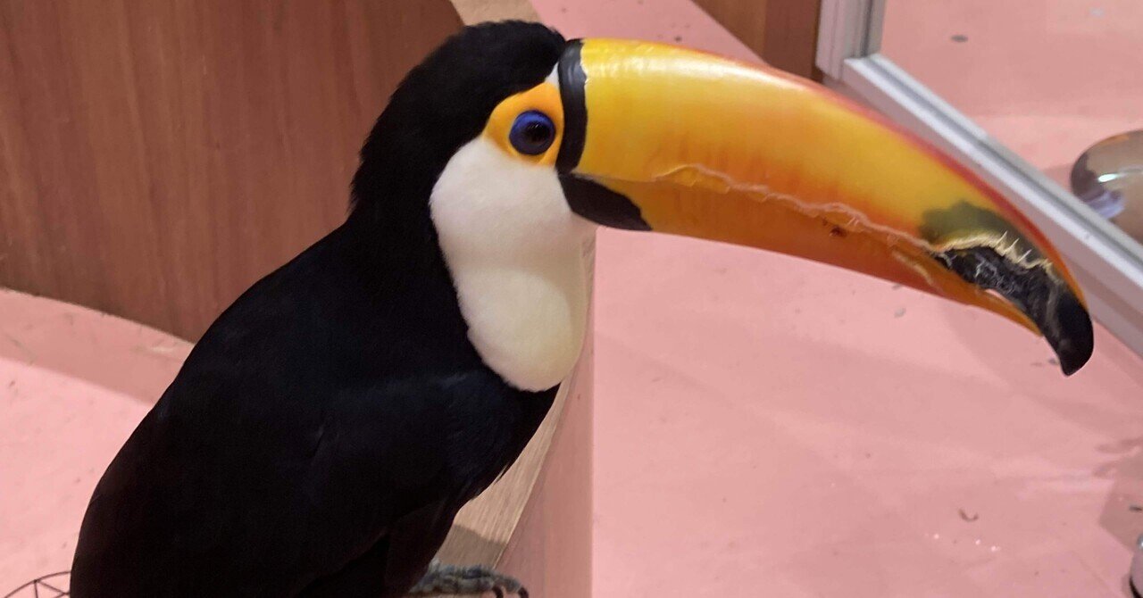 ︎ 職業訓練のメリット・デメリット｜* しょこら｜Webデザイン初心者 *｜note