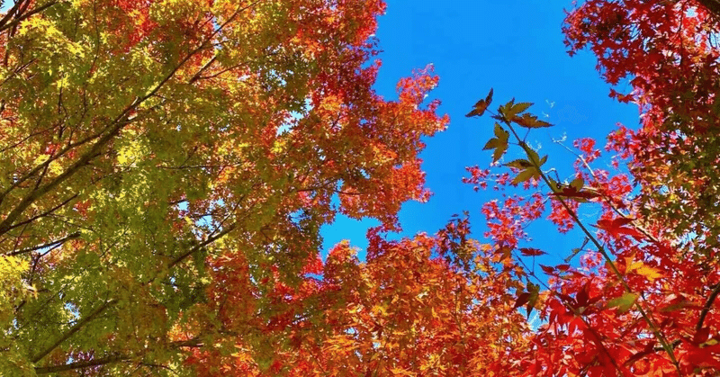 あるべき姿との差分よりも、どんな原則で振る舞うのか｜kyon_mm