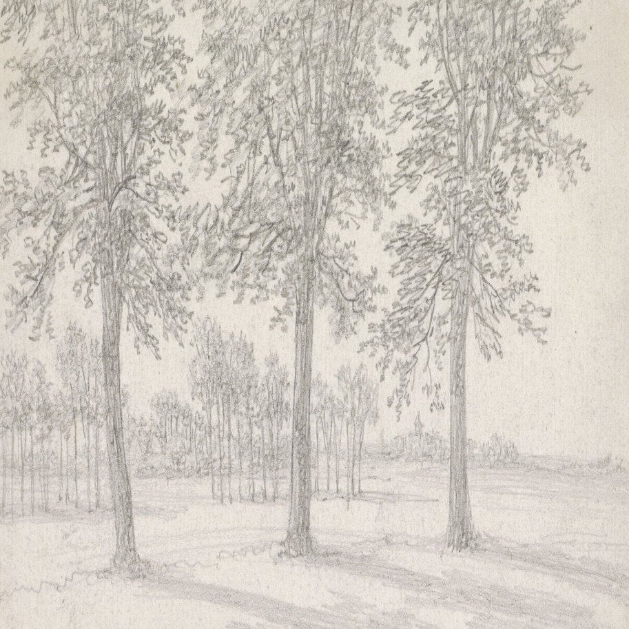 20221118-1130の見聞録｜Satin｜note