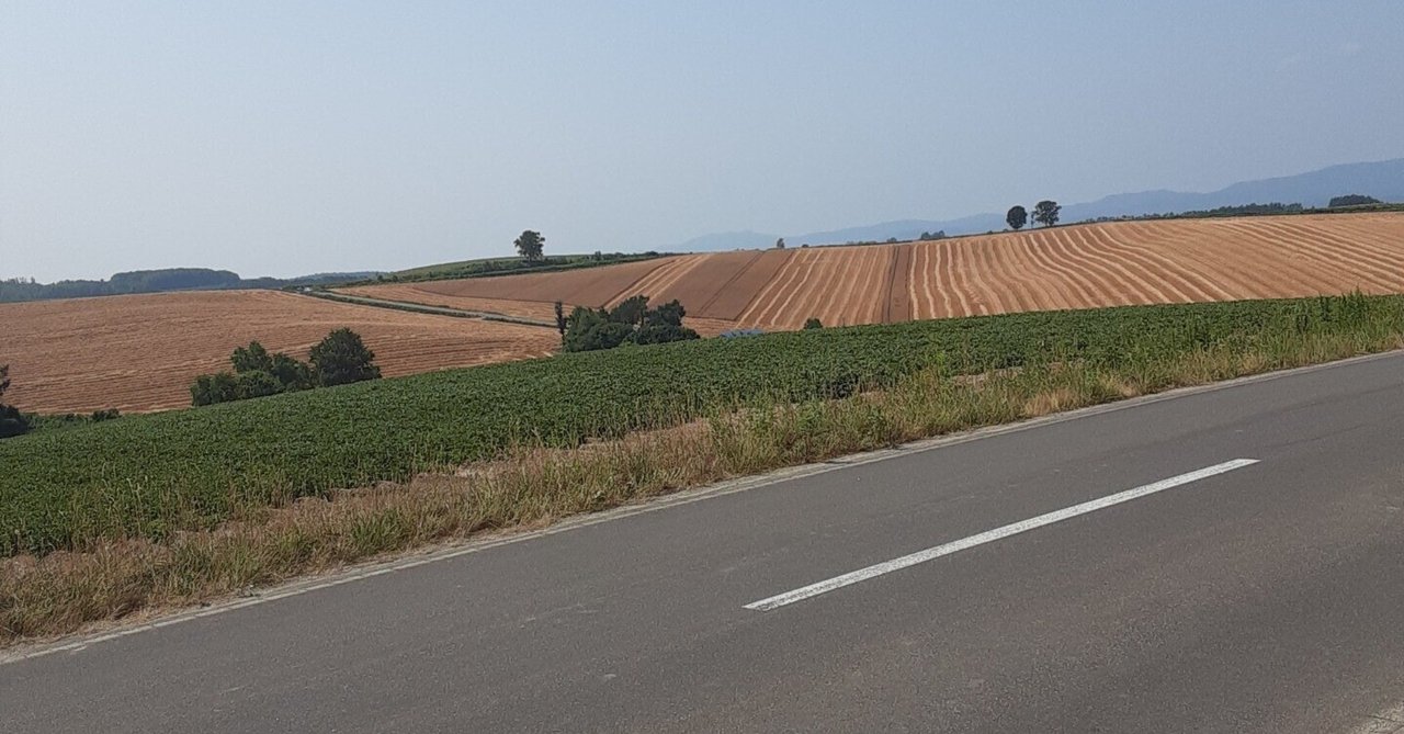 英語勉強2｜TM｜note