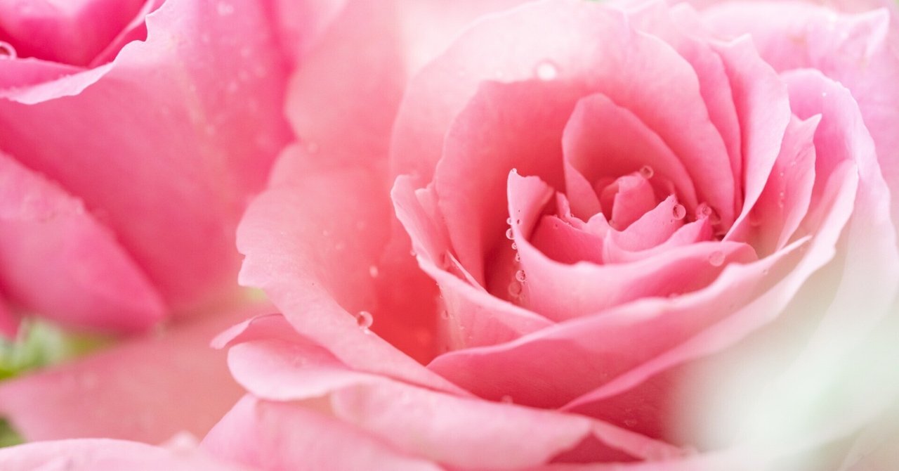 喜怒哀楽、いのちの全てを味わい尽くす。｜Sunao♡LOVE＆〝感じる〟女性性マーケティング♡｜note