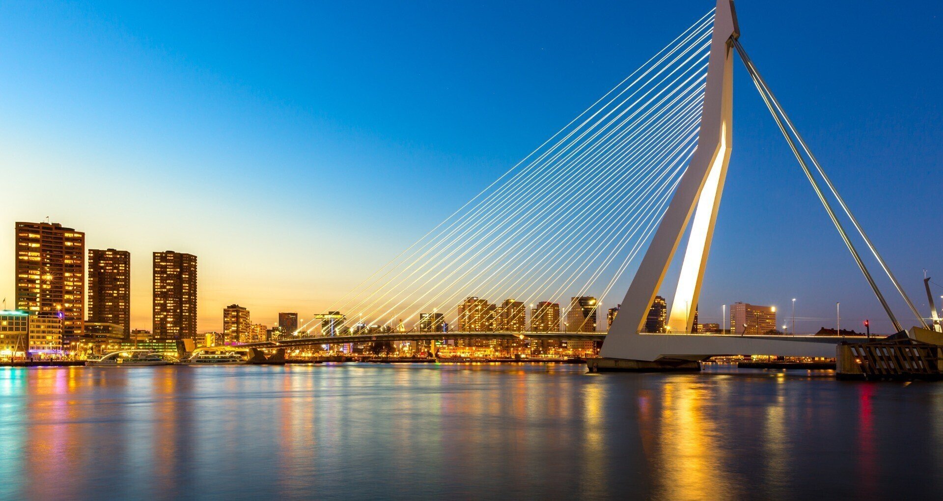 Muneyuki Okamoto｜note