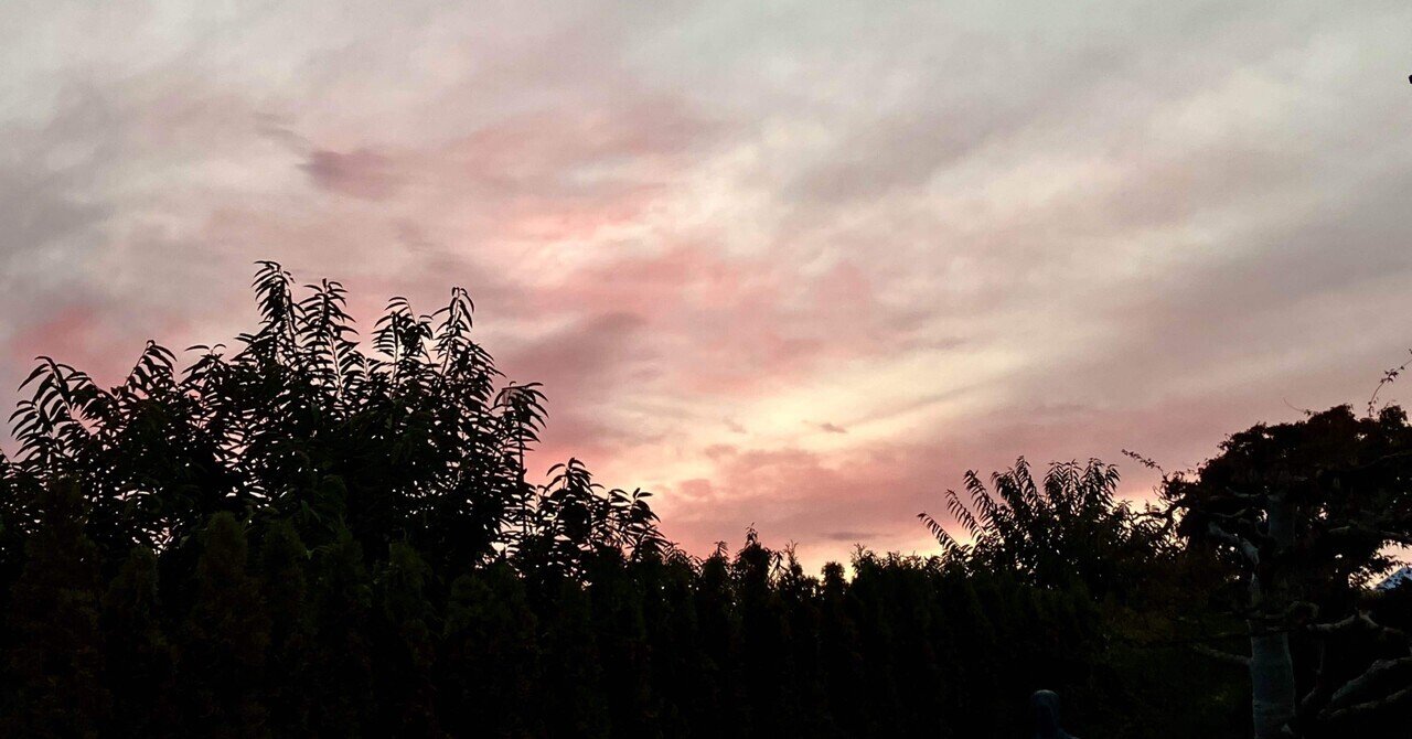 教習日記｜Shiho｜note