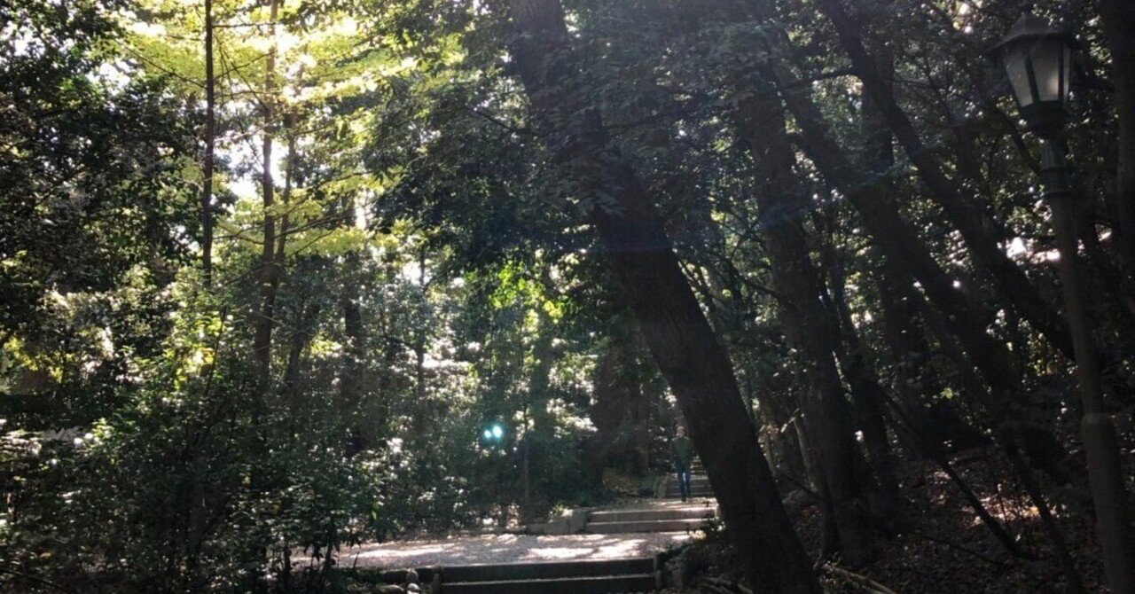 12月2日（日記）うぬぼれ理論を実践する｜仲村比呂（nakamura hiro)｜note