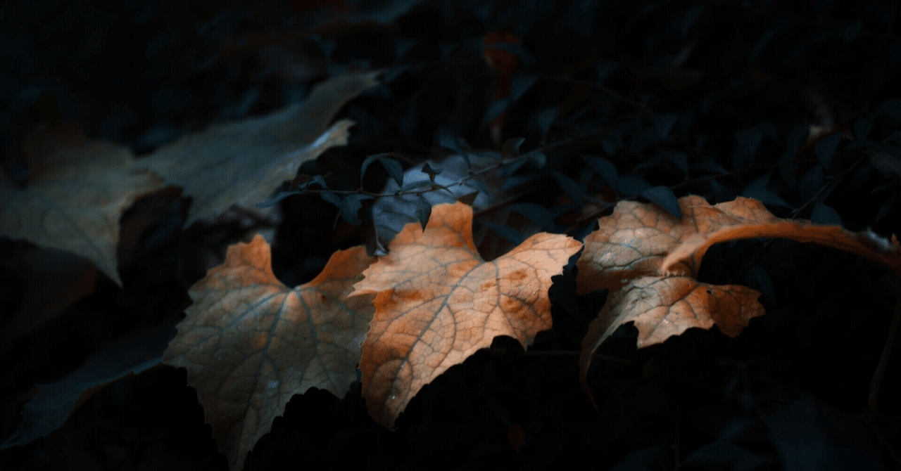 すっきりと｜Chiaki Yoshihiro｜note