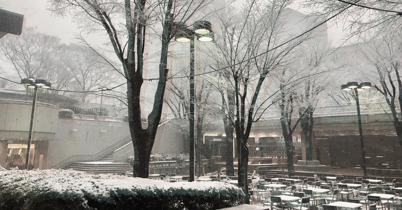 ayano_leizen 冷泉文野｜note