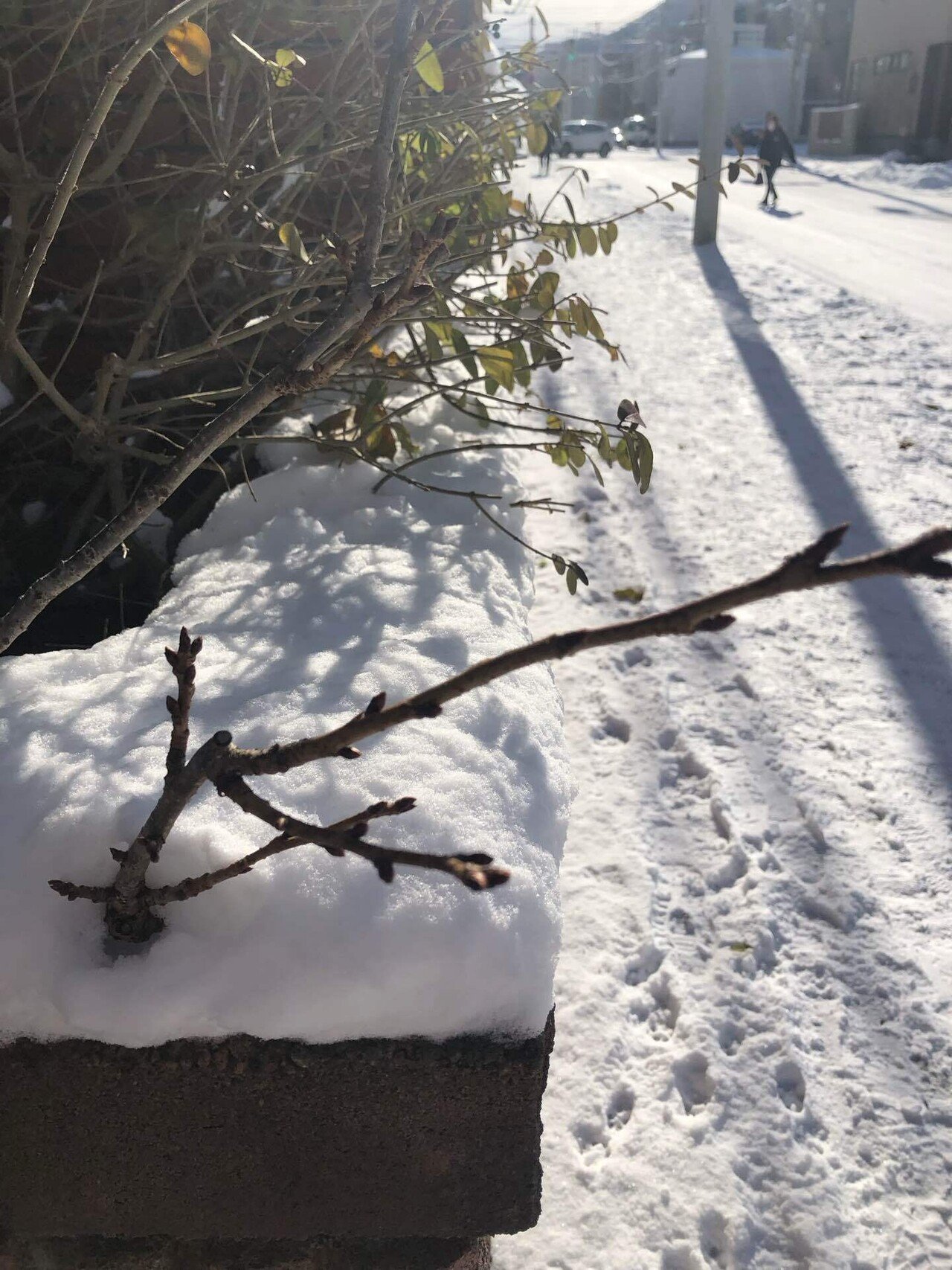 雪国の冬｜ma-yan｜note