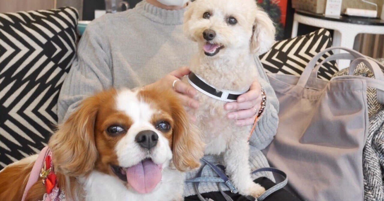 もう12月、不完全燃焼な近況など。｜Masaaki Higuchi