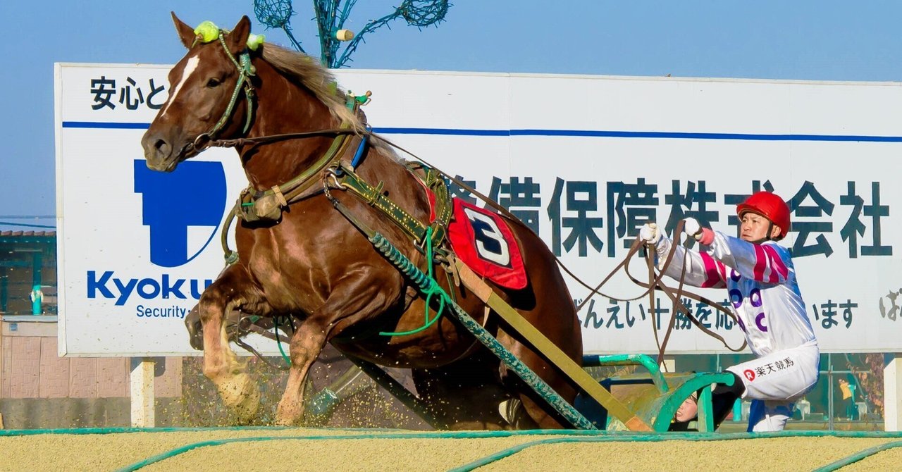 12/3 (Sat) 帯広ばんえい競馬11.12R｜ギャンブラー@単勝馬券師｜note