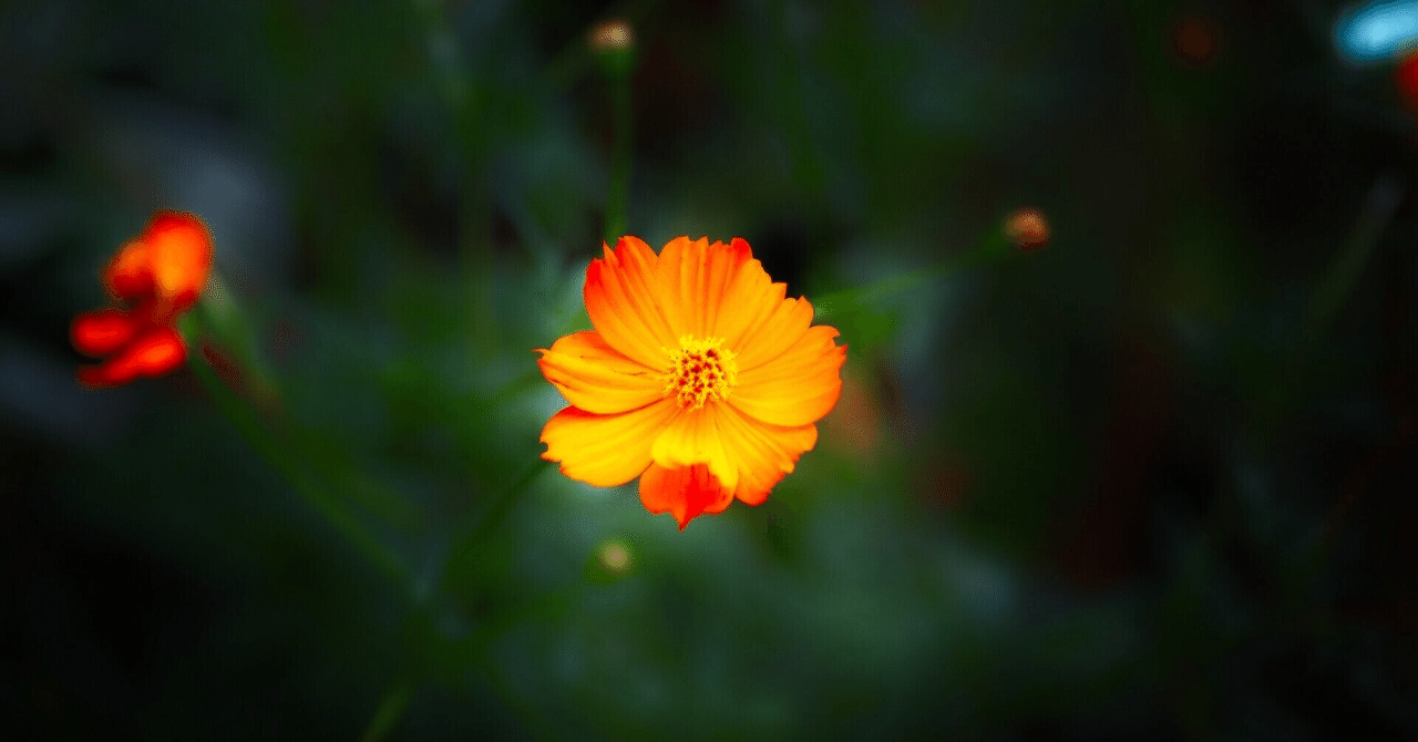 IMMD メリットとデメリット｜IMMD 編集部