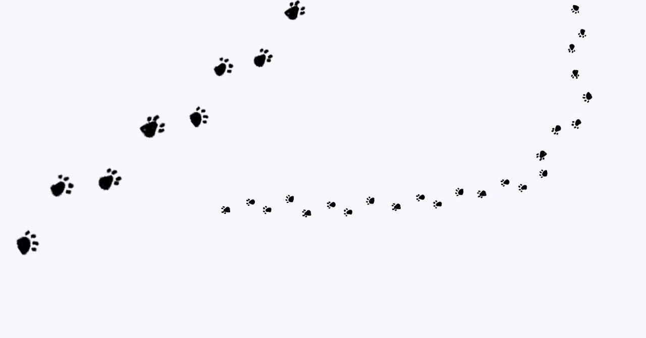 【僕の前に道はない 僕の後ろに道は出来る、、、 】｜かなっぺ(ᵔᴥᵔ)♡（2b-b2）