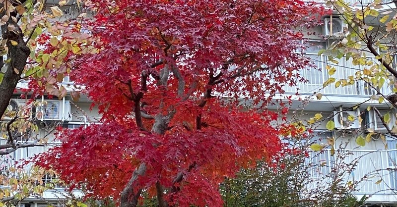 Junji Kajiwara｜note