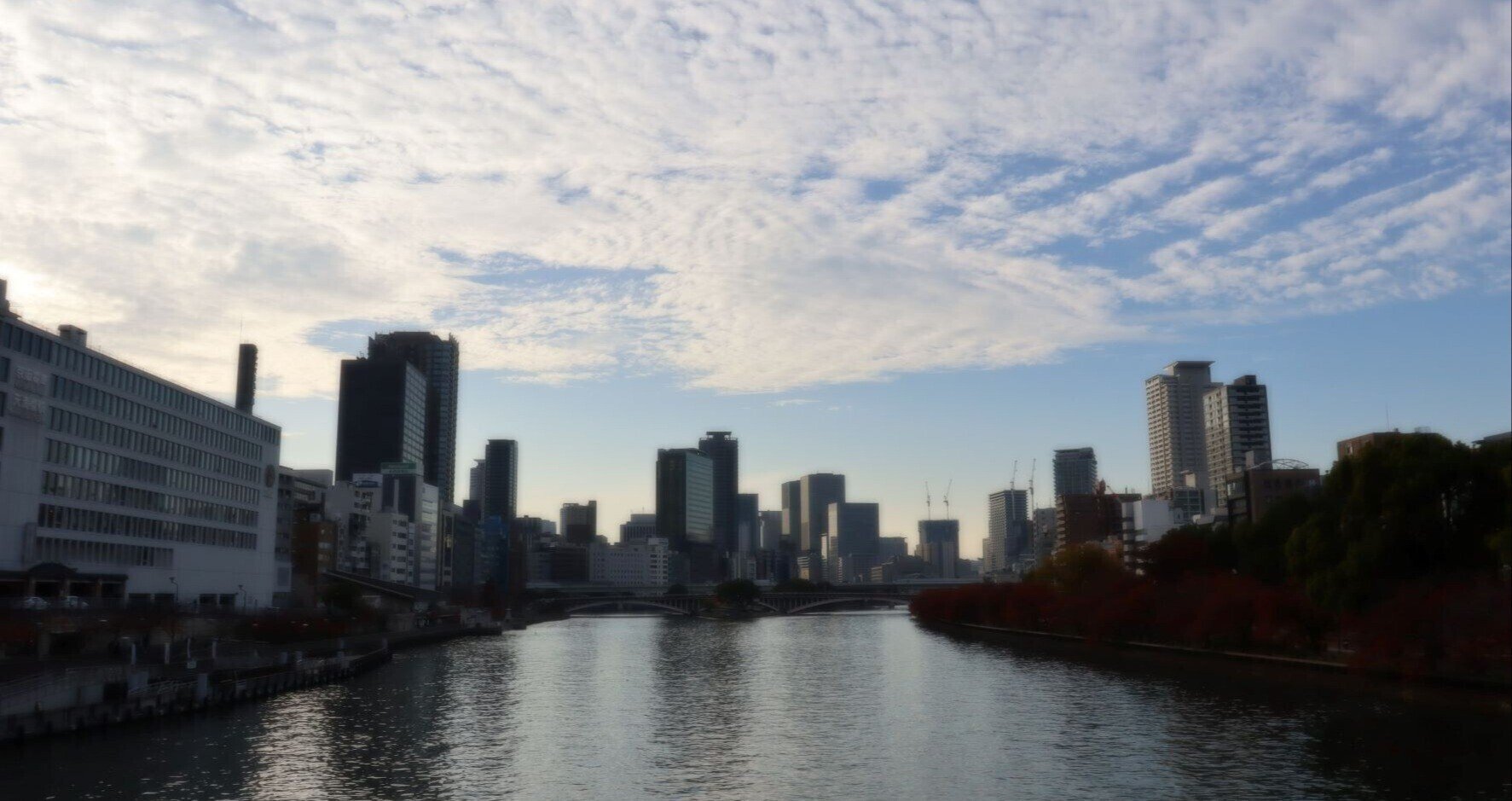 takahiro mori｜note