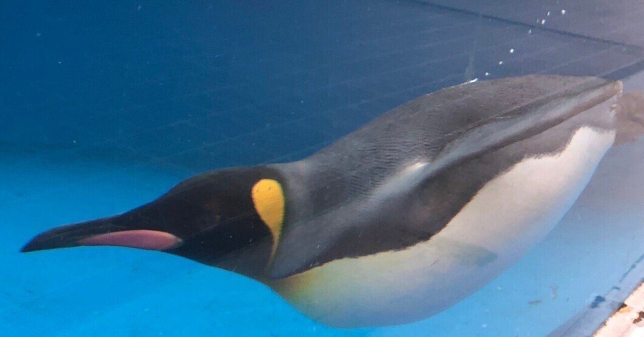 瞬間未来日記20221206｜Kazuhiro Ikeda｜note