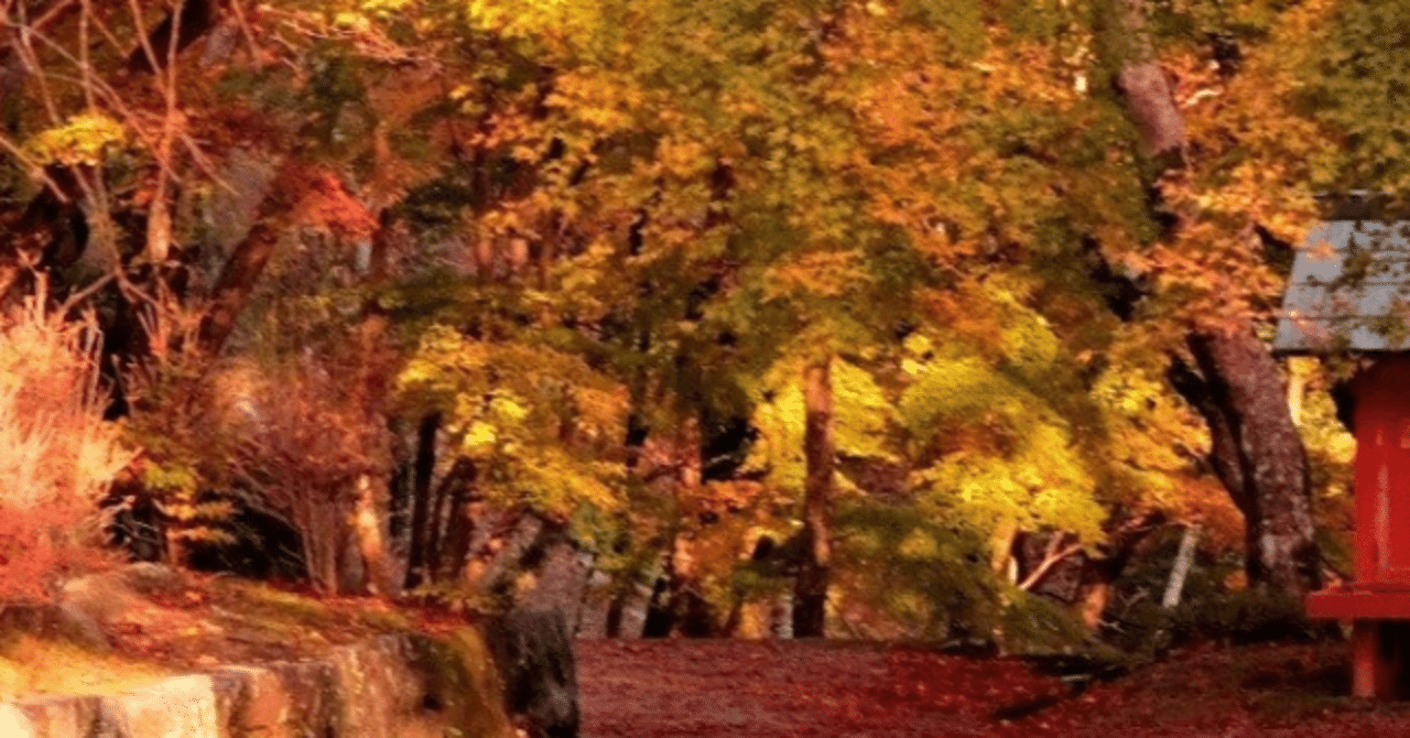 古沢広祐（Furusawa Koyu）｜note