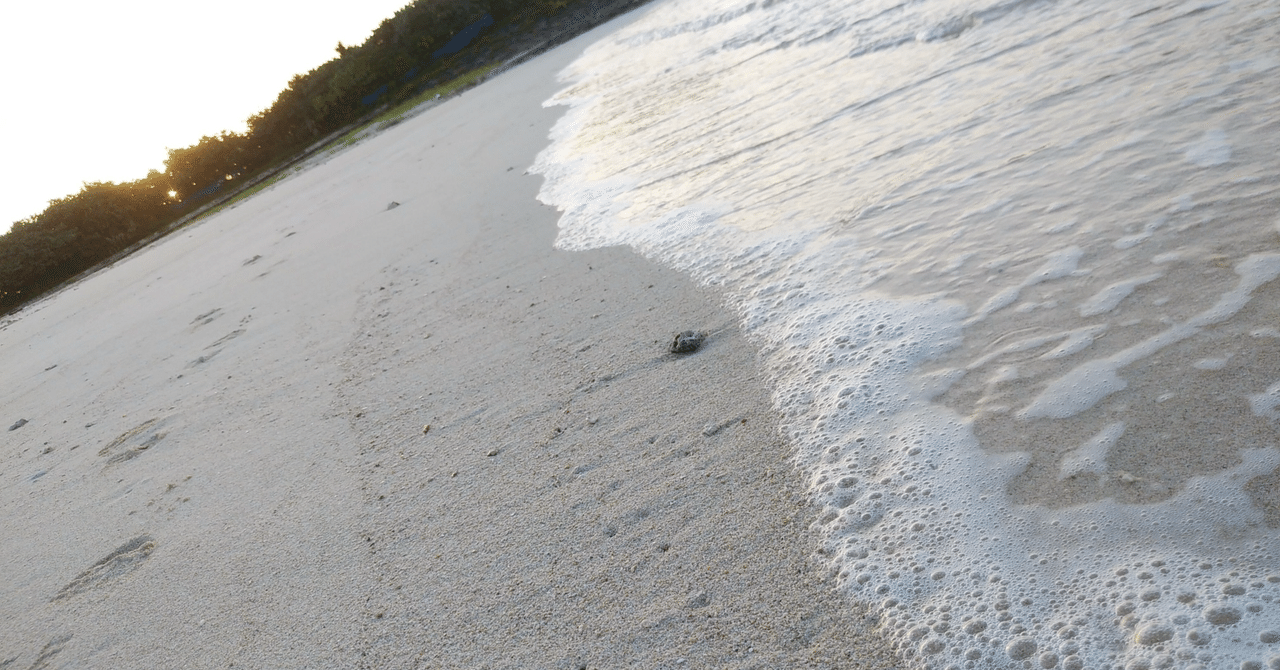 阿吽と珊瑚礁｜natsuka｜note