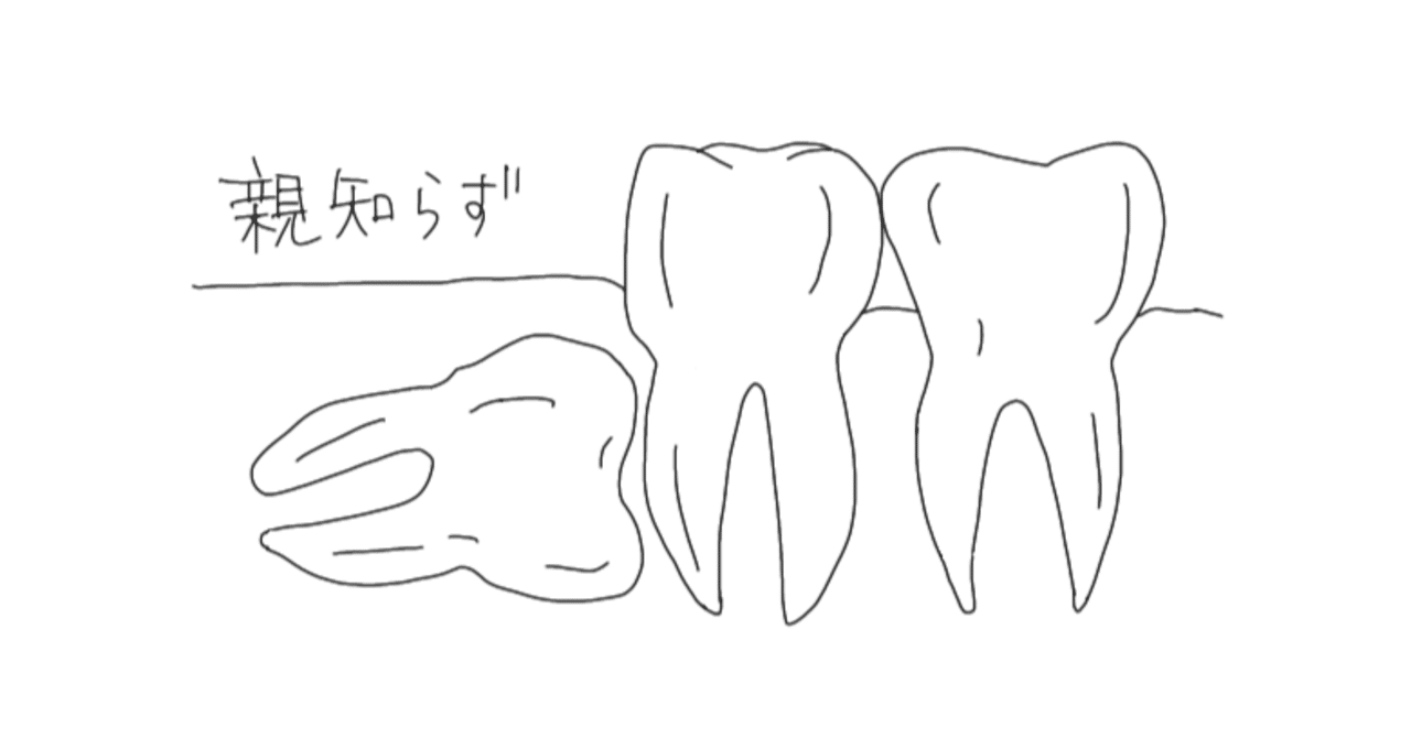 小説『親不知の唄⑮』 現実と夢の狭間｜193｜note