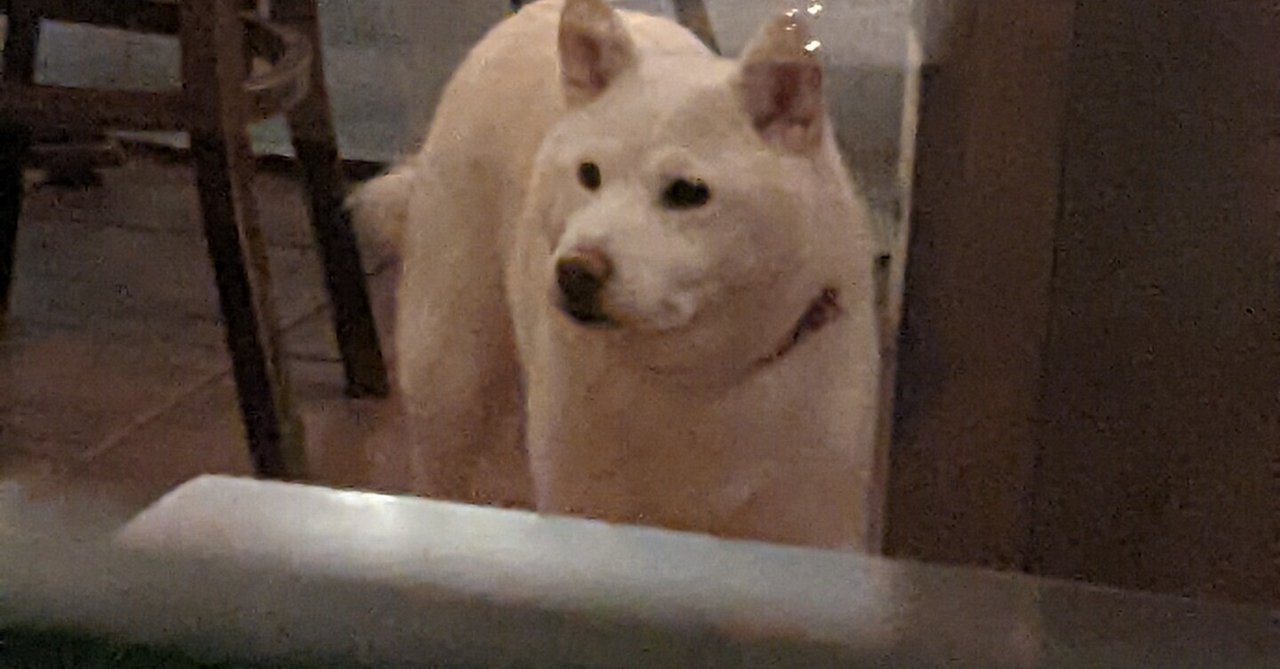 221202-1204｜yakiya｜note