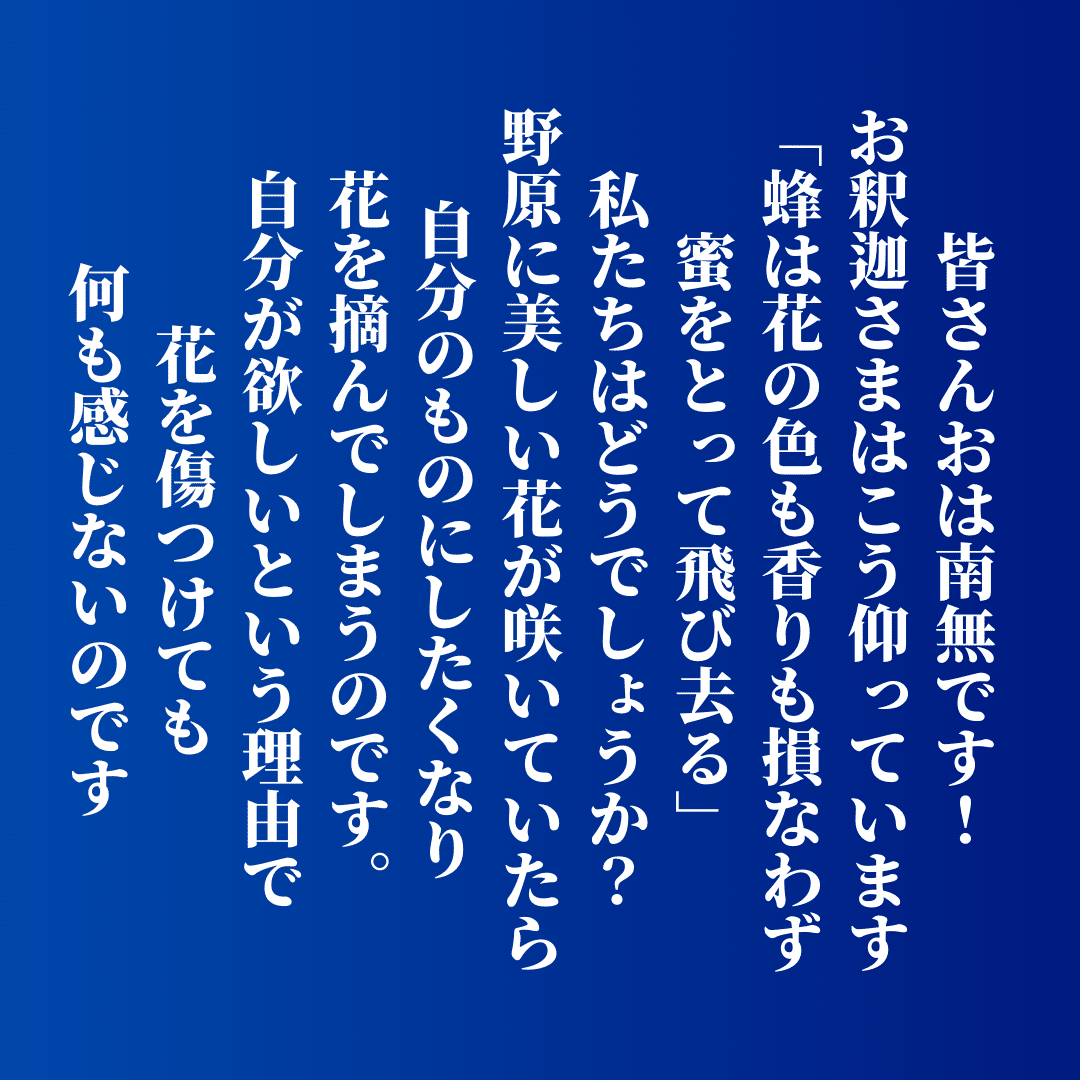 お説教 美しい花 https://obousan358.com/yokubaranai-kizutukenai/｜Ichi obousan｜note