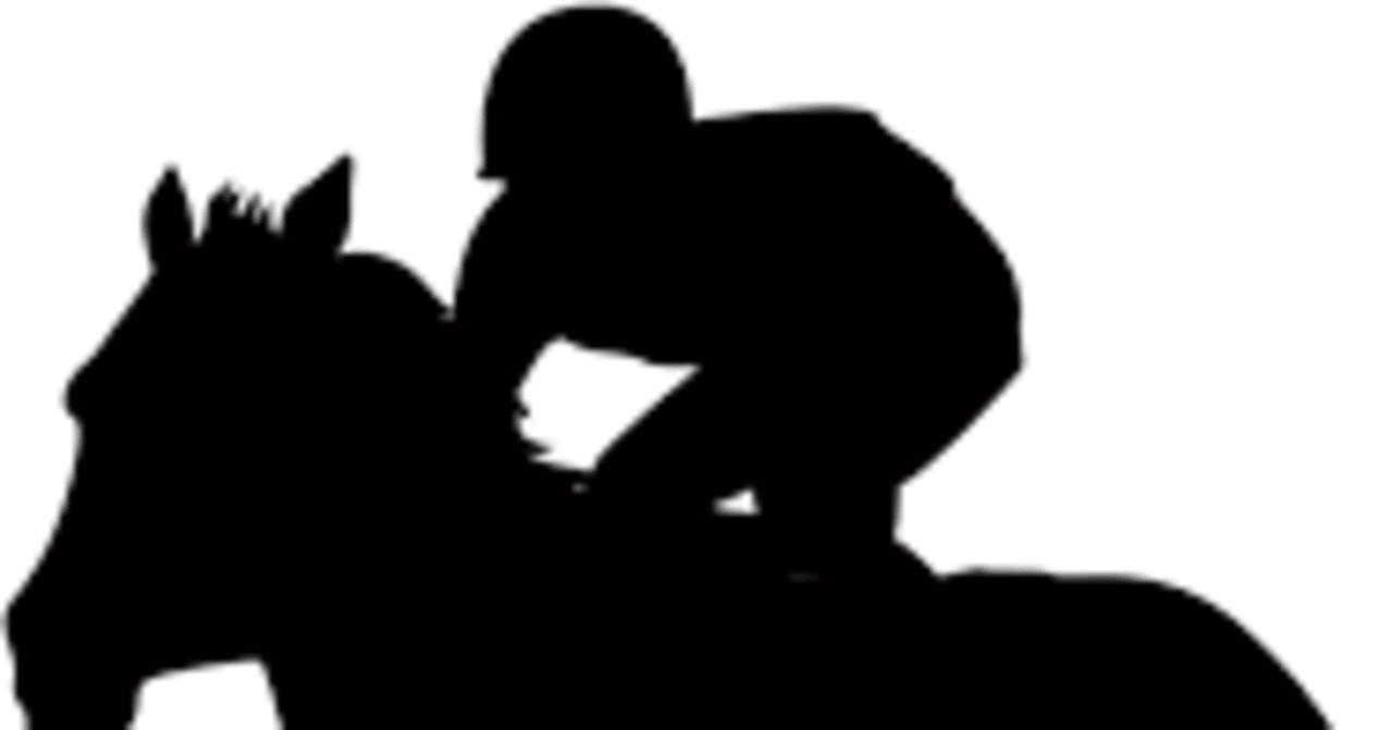 12/6（火）高期待値馬、推奨買い目（大井9R）｜サ馬（回収率重視）｜note