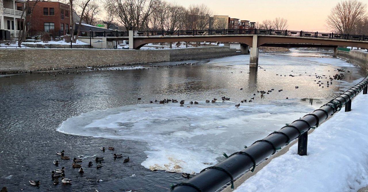 12/04-05/2022｜Mizuki Fujiwara｜note