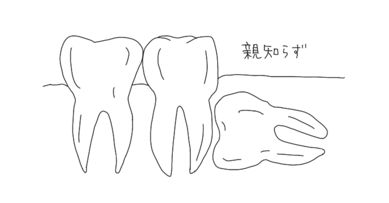 小説『親不知の唄』 あとがき｜193｜note