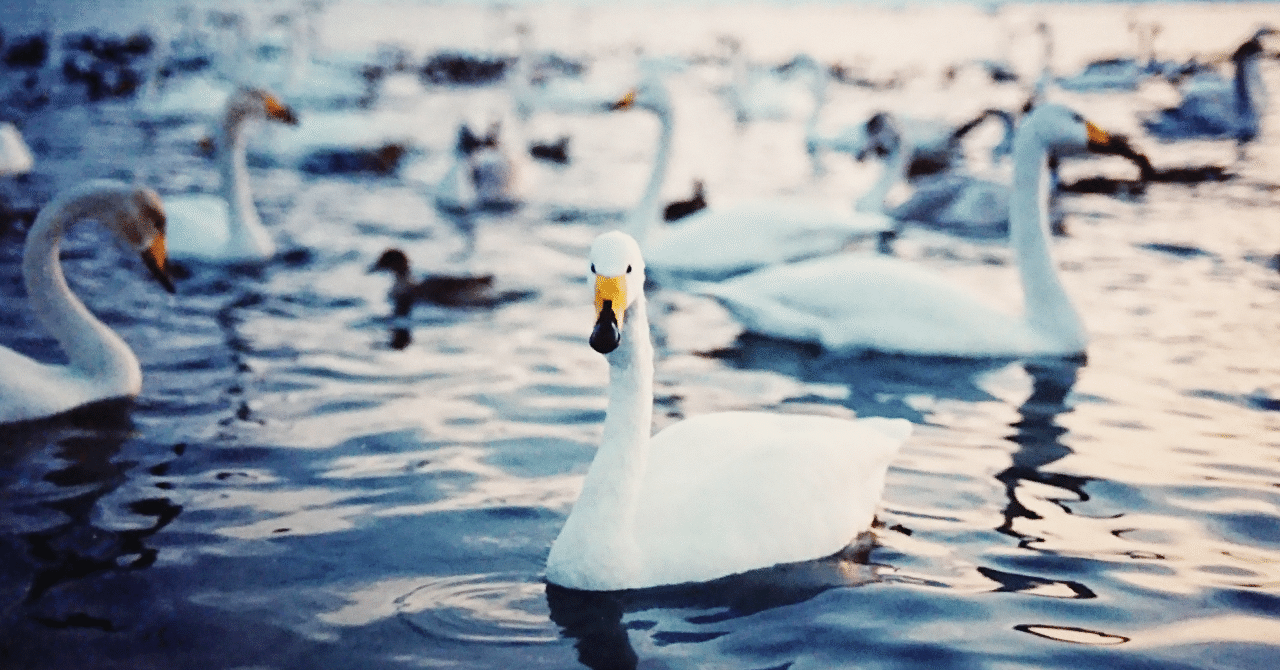 12/6.chg｜fumi｜note