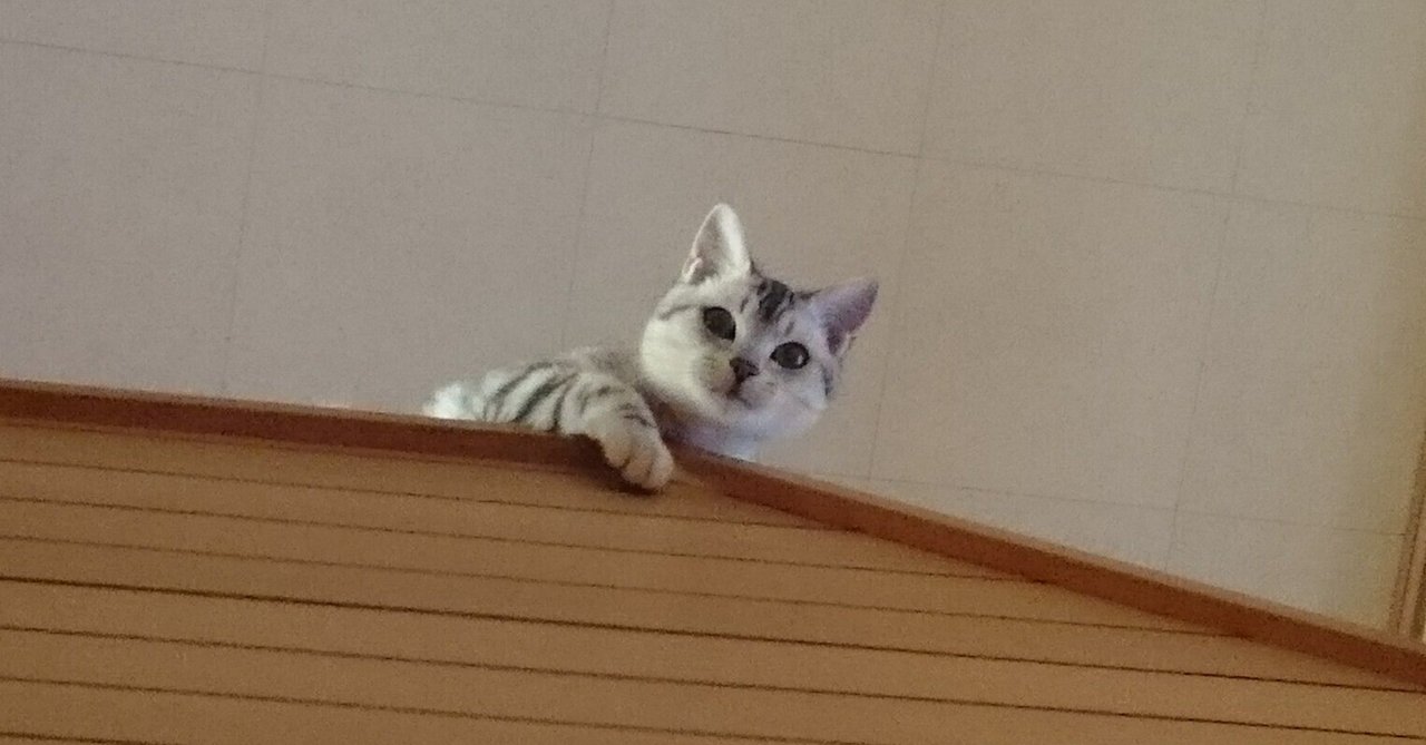 奇跡講座WB実践156 私は完璧な聖性の中を神とともに歩む｜(Linp&Ruru)本当の自分を知り、本当の自分として生きる｜note