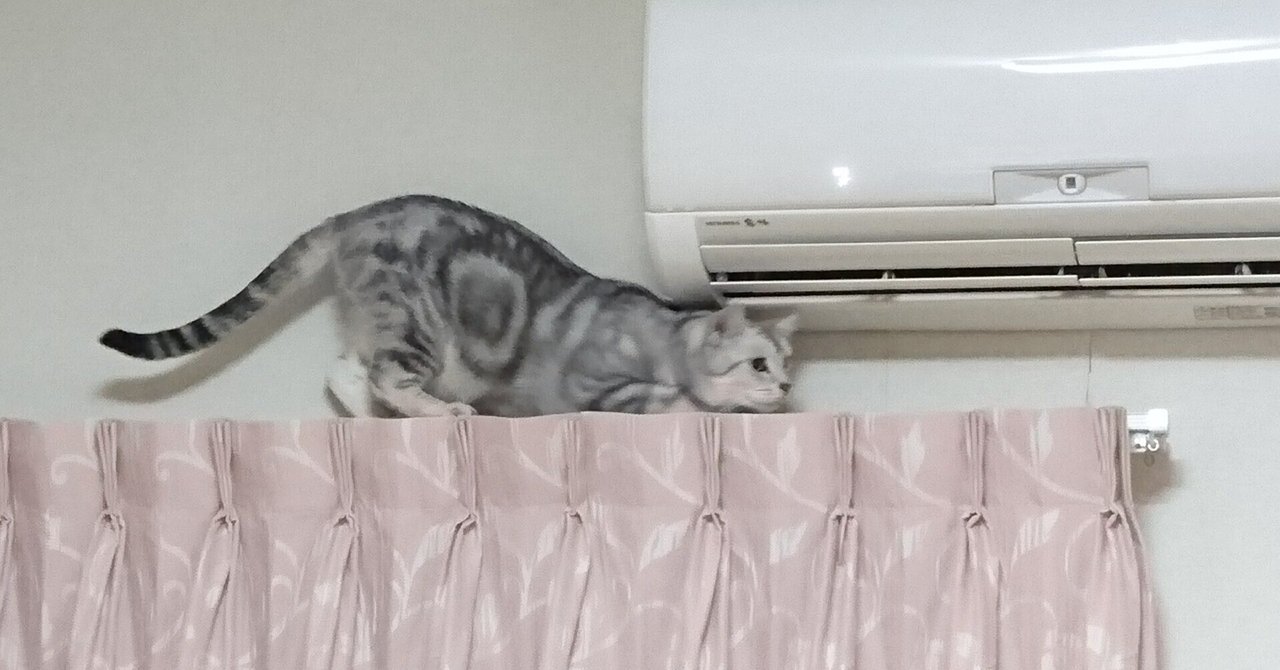 奇跡講座WB実践157 今、私はキリストの臨在の中へ入っていく｜(Linp&Ruru)本当の自分を知り、本当の自分として生きる