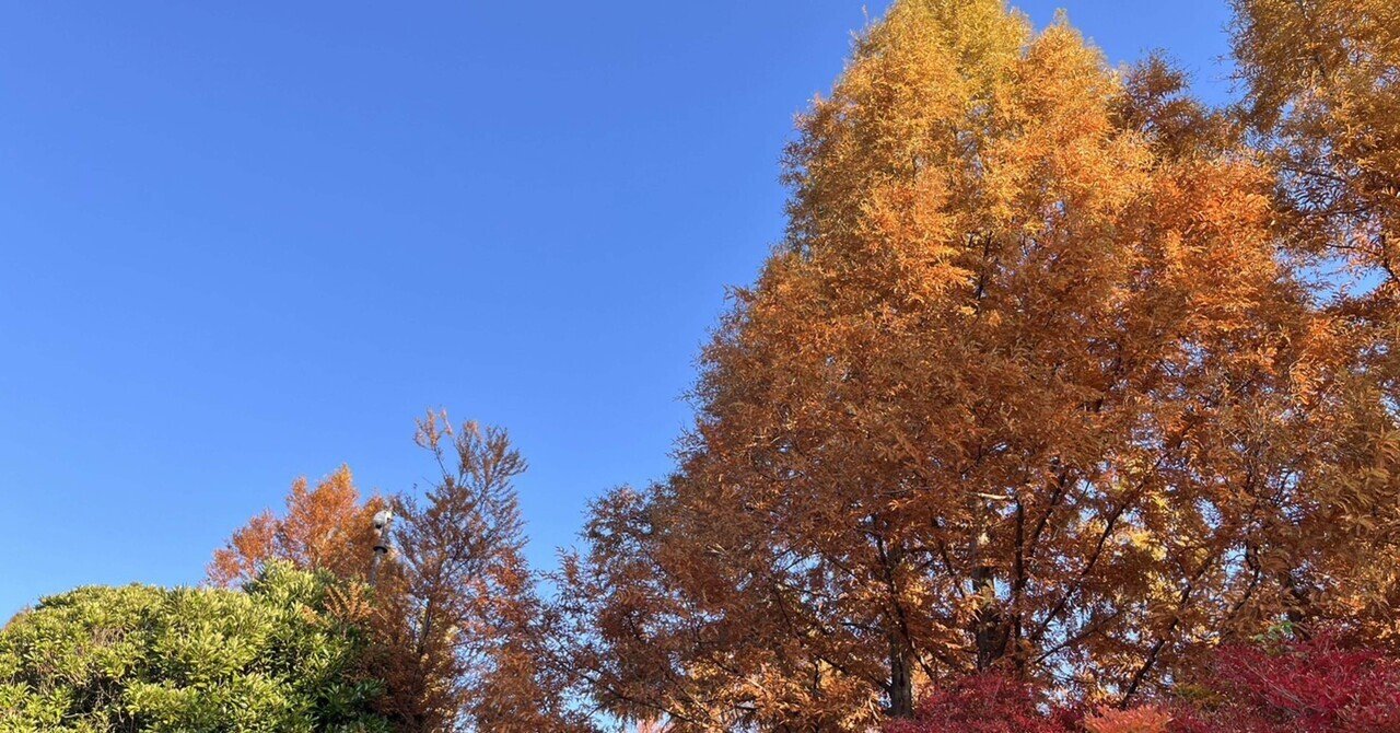 大野智さんは、何故、先のビジョンが見えないと言ったんだろう？｜karin_ochi