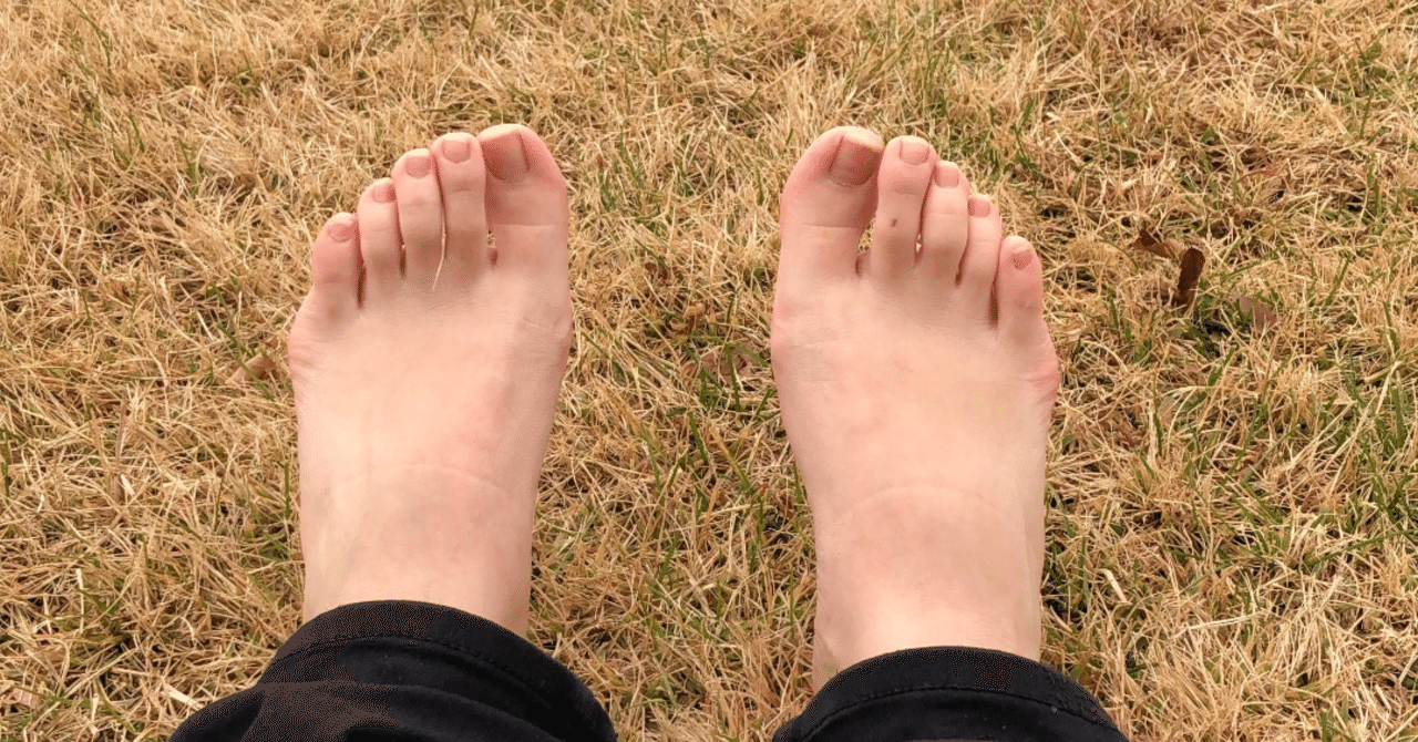 ぱーーーーーっと走ったり、素敵な落ち葉を見つけて座り込んだり🍁｜Natsuko