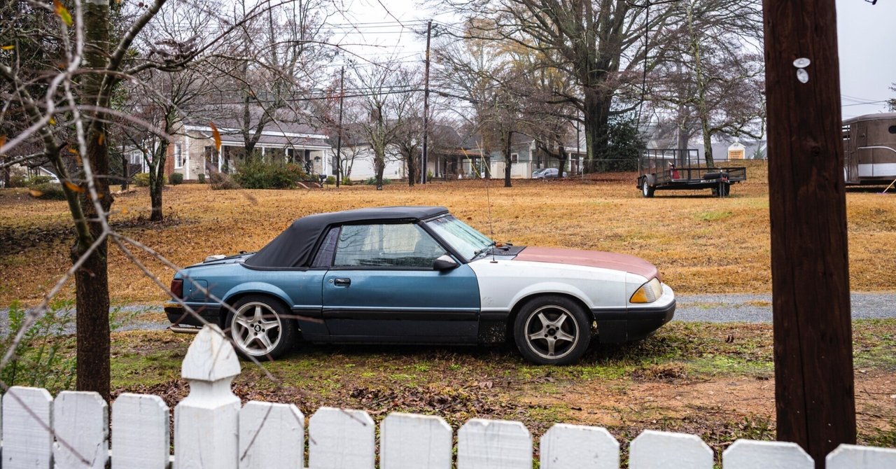 雨上がり＜LEICA M10-P＞｜MOJA MOJA｜note