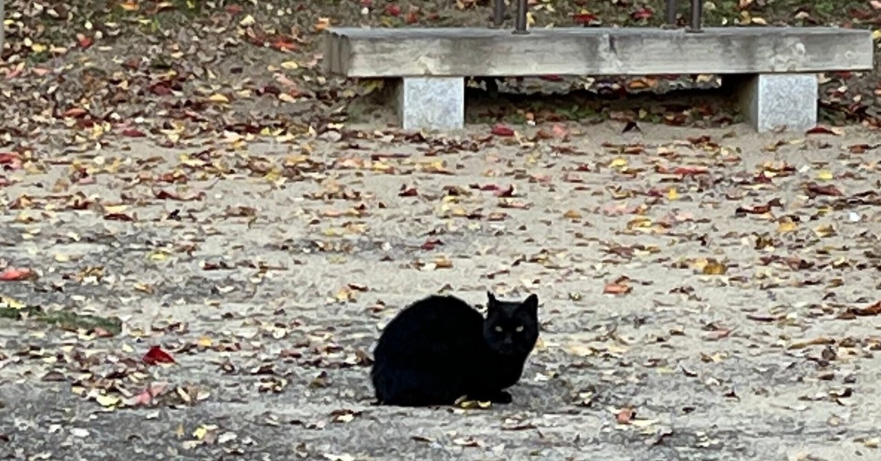 事業計画書の作成をしに行ったのでした｜たかはしあやこ/㈱つむぐ設計 代表取締役