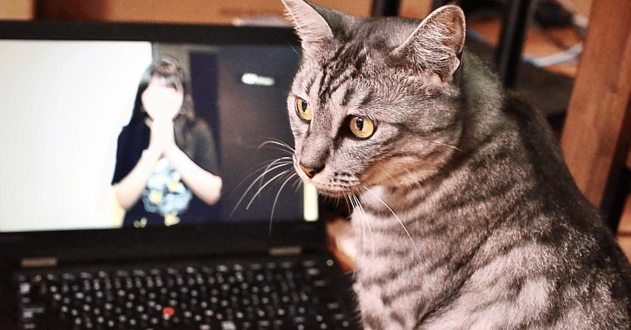 弁護士に聞いた「オフラインの良さ」｜K.Goto@探偵