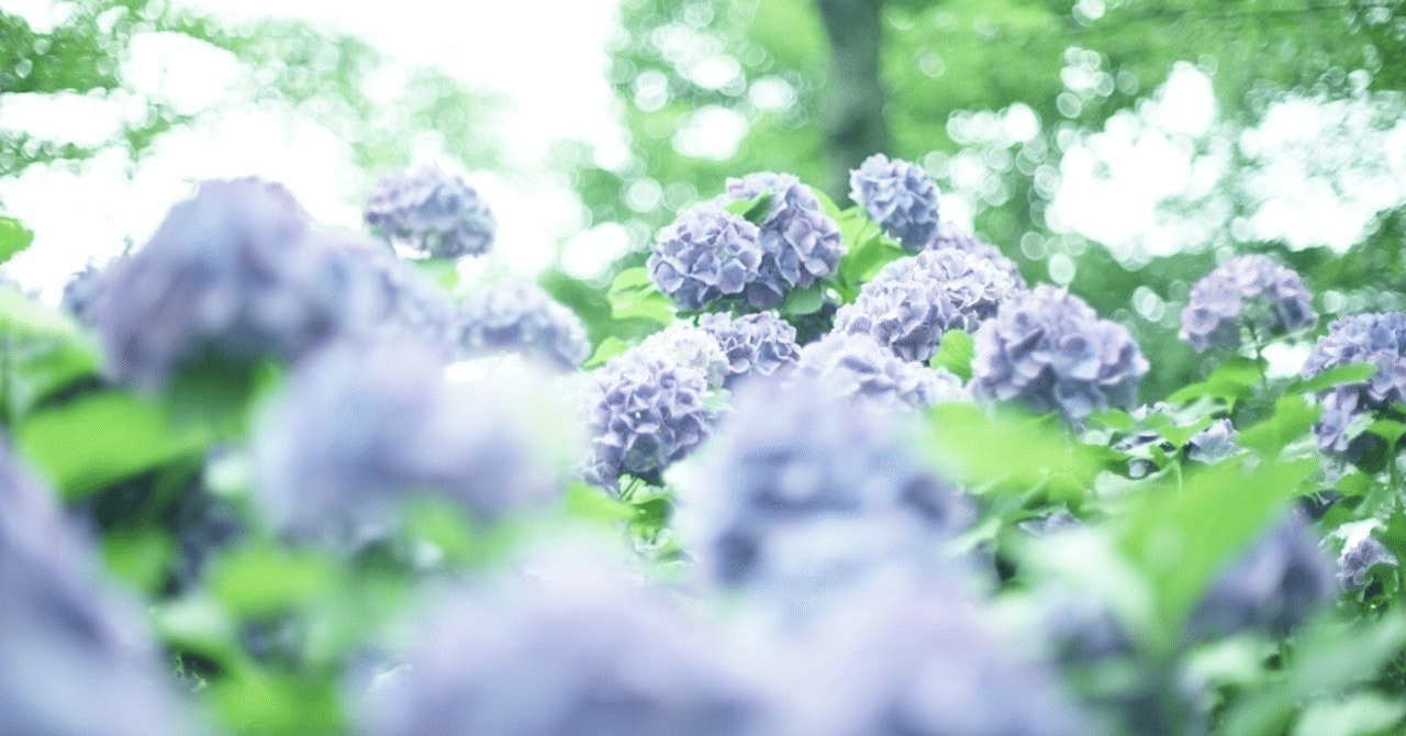 周りの平和が一番？自分が一番…？～太陽星座水瓶座×月星座獅子座～｜kazuko