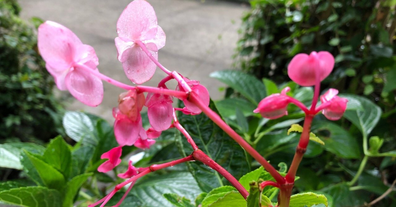 ふと・・・思う｜poporin