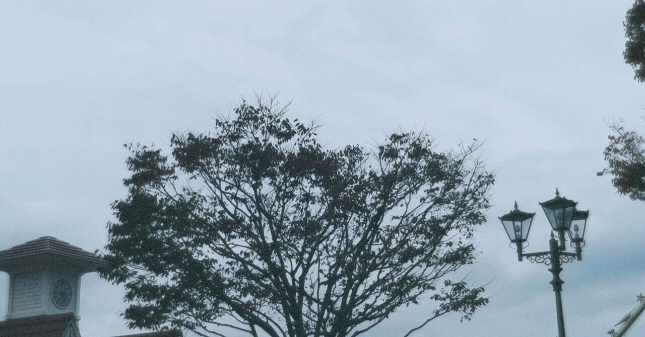 カクシタ｜hanarebanare_kashi