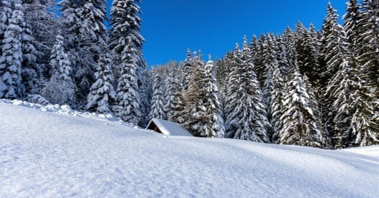 コミュ力の高さは、悪意までもカバーしてしまう｜MIEKO｜note