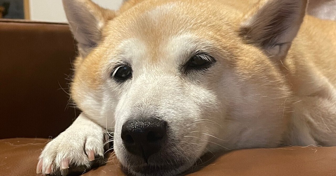 やっと、ここまで辿り着いたよ｜Kana_days