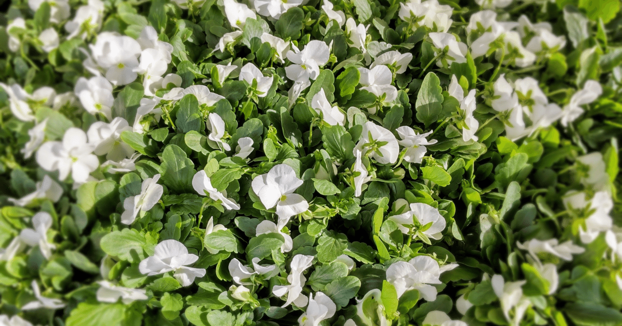 12月9日 #918｜unico｜note