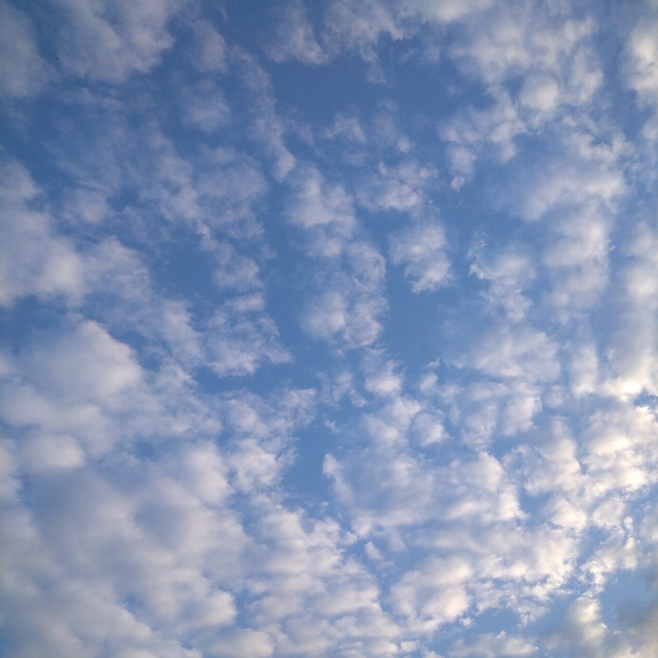 子どもたちが心からの笑顔になれますように。自分自身が心からの笑顔になれますように。｜りんだ🎹stand.fm公式パートナーSPP｜note