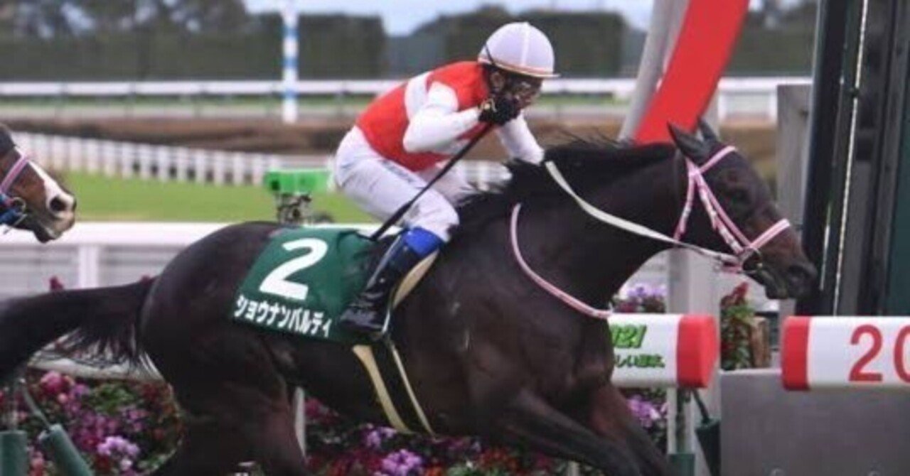 JRA-M5☆】12/10 阪神競馬1～12レース｜みかん｜note