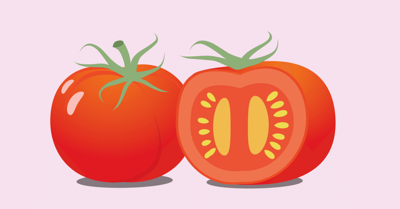 ALL OF MINT SPEC and more...12月更新履歴｜MK SCRATCH