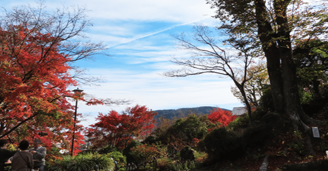 秋の強羅公園｜a2pro