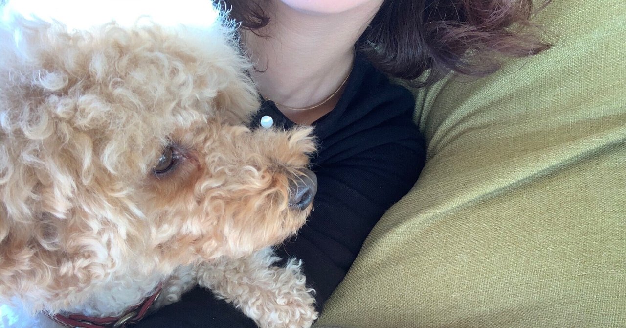 はじめまして、はなまるです。｜Hanamaru｜note