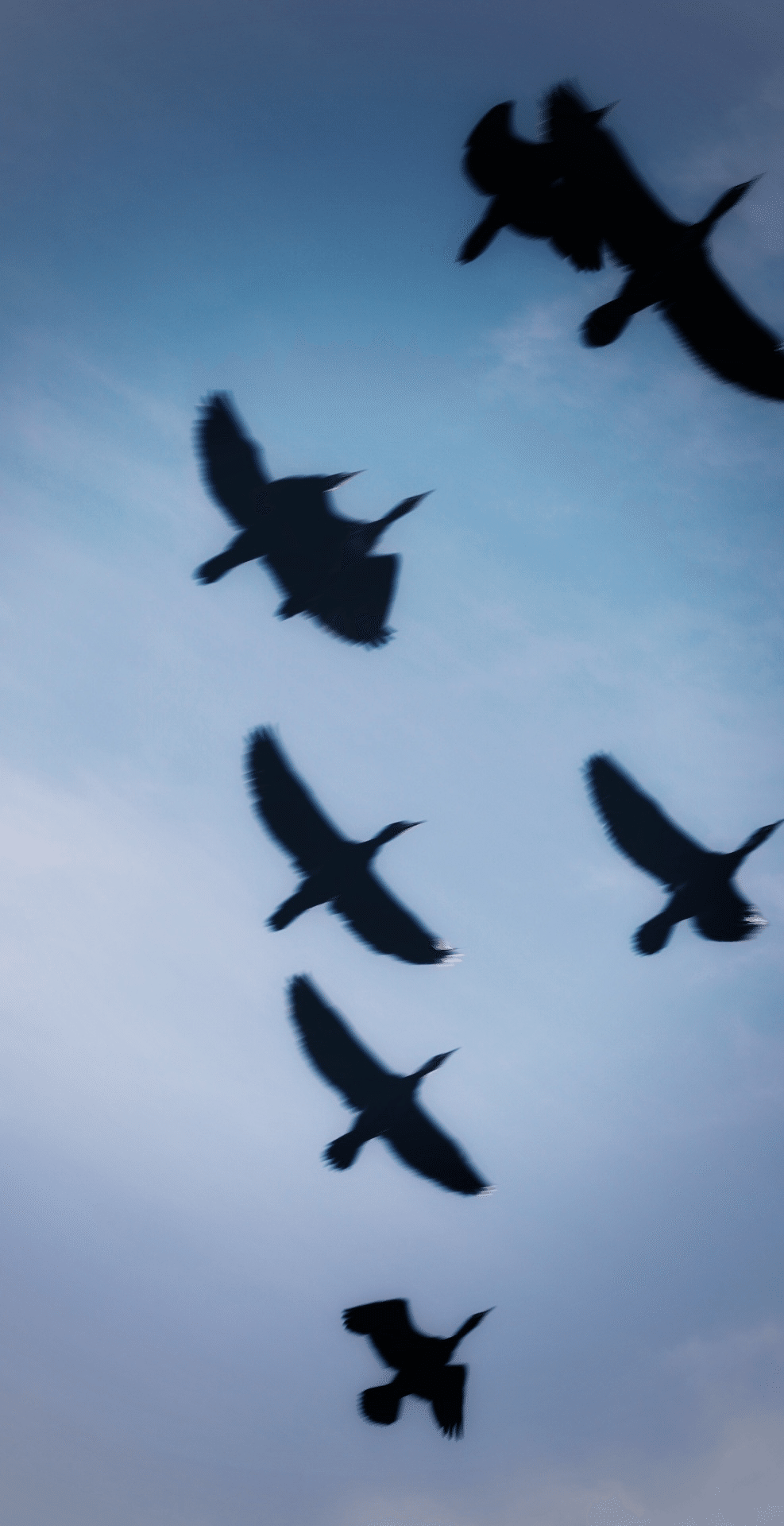 のこされもの｜Yutaka Kano｜note