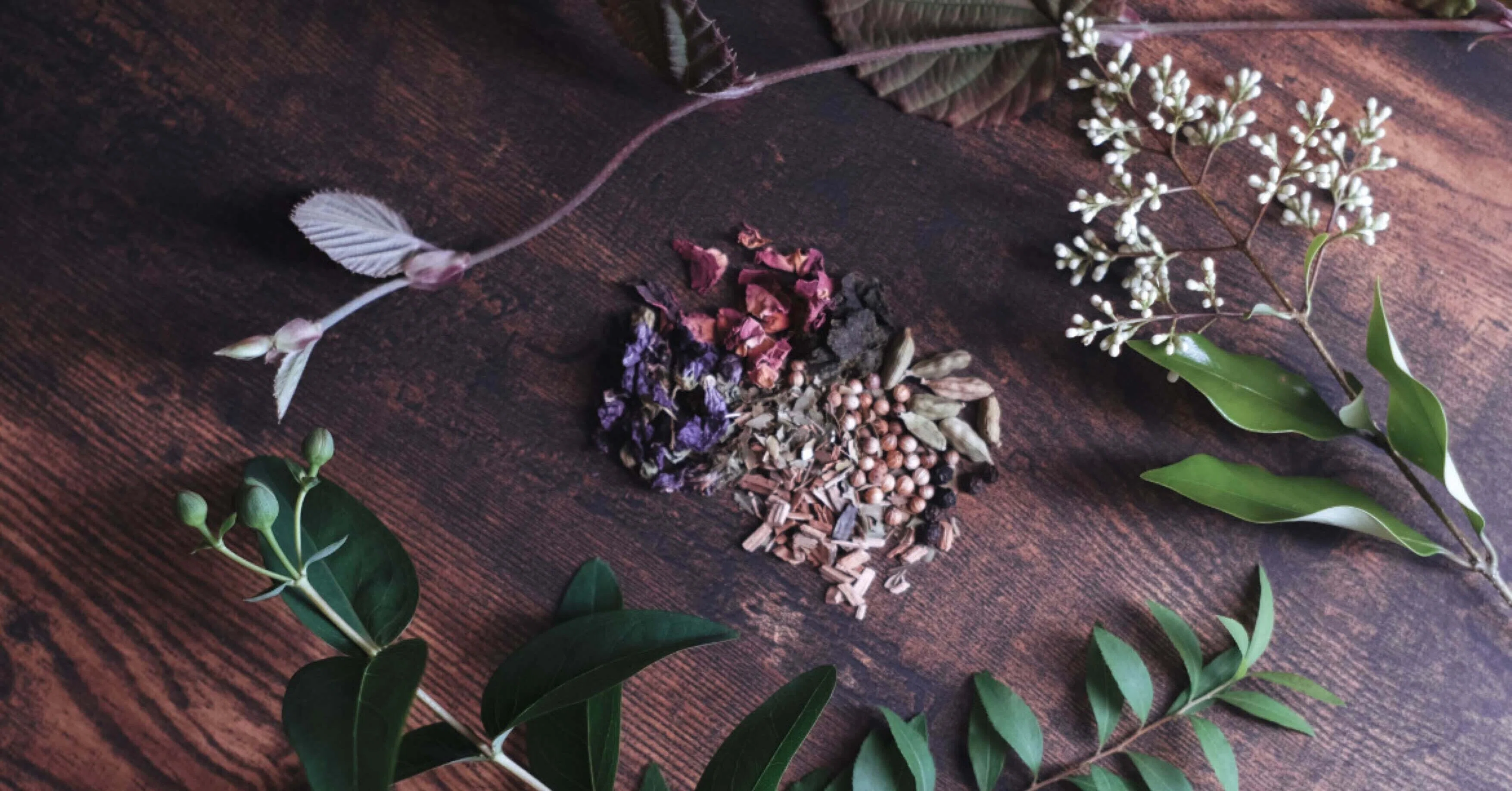 web3🌿champettes｜note
