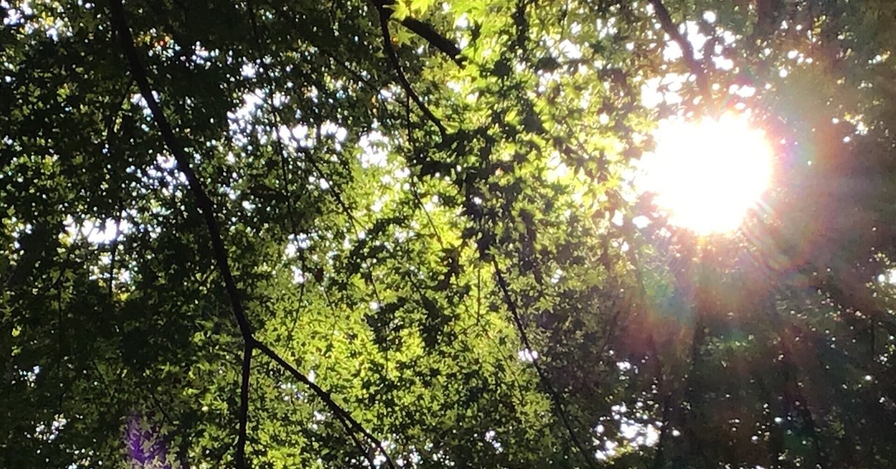 不足から豊かさへ・・暗闇から輝きへ｜CHIAKI｜note